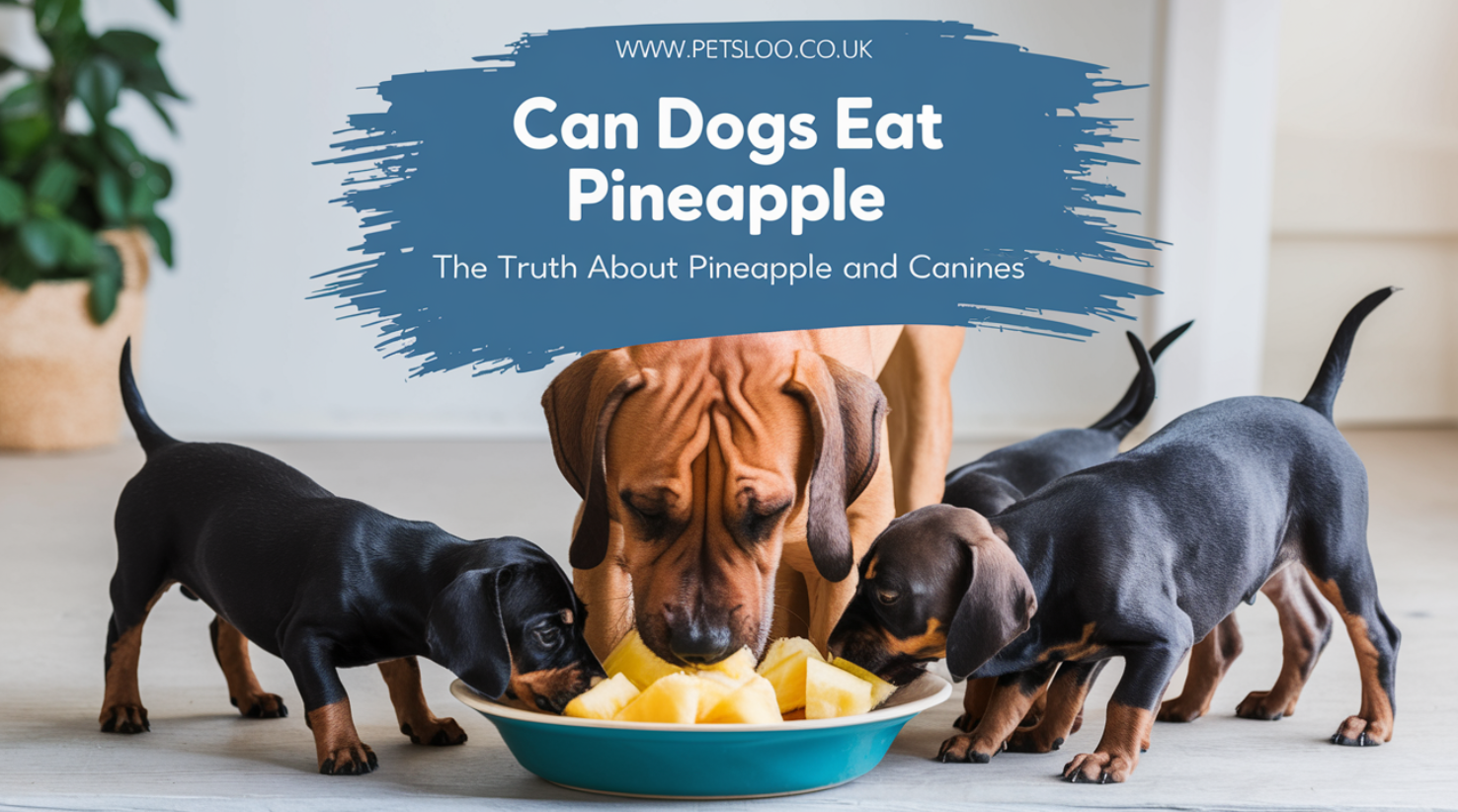 Can Dogs Eat Pineapple? Vet-Approved Safety Guide 2025